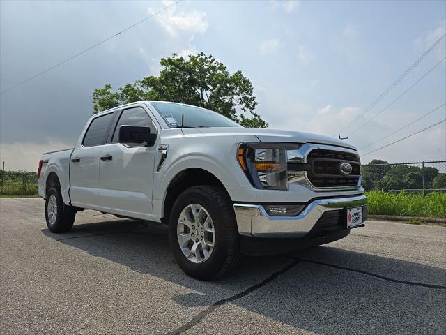 Ford F-150 Black Widow 4x4 for Sale near Me | Discover Cars for Sale